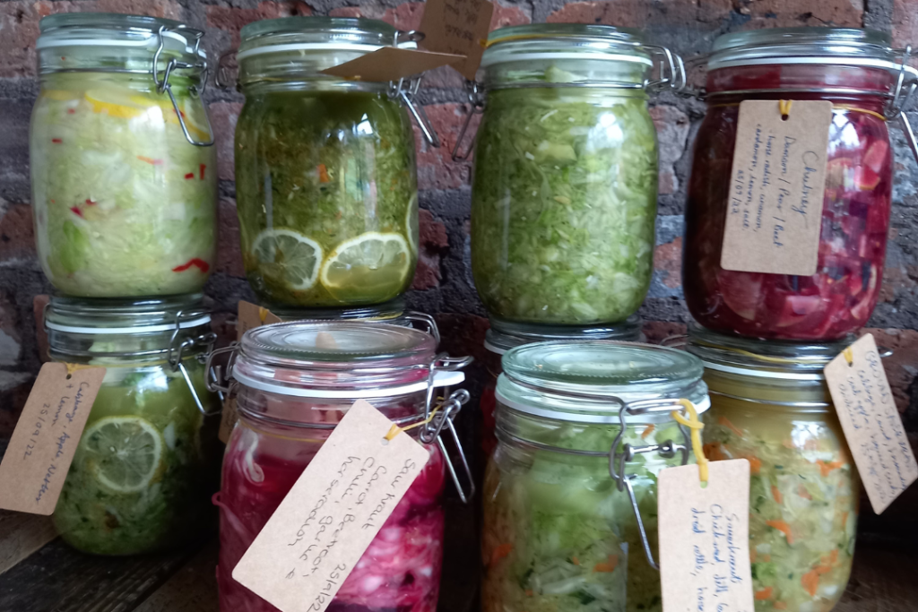 Wild Pickle – Fermentation & Foraging