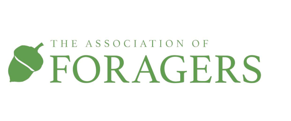 Wild Pickle – Fermentation & Foraging